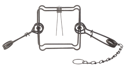 Duke #330 Body Grip Traps - SIX | Wildlife Control Supplies | Product ...