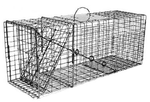 Tomahawk Model 104.5 Live Trap - Skunk, Opossum Size 20x7x7 | Wildlife ...