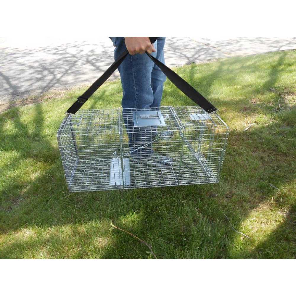 Cage Traps from Wildlife Control Supplies