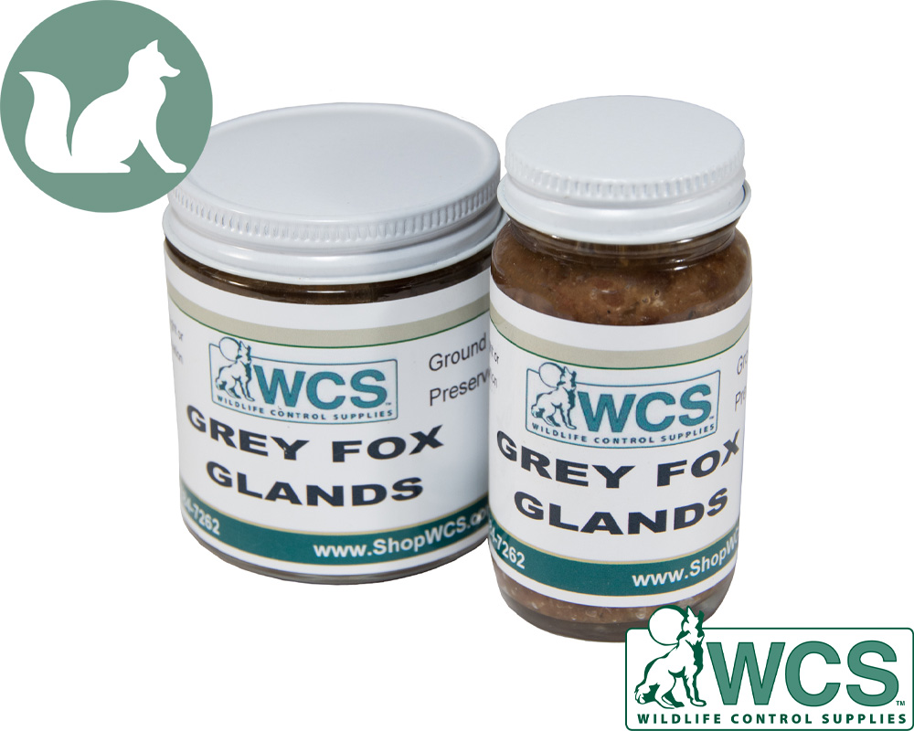 Grey Fox Glands - Ground, Aged & Preserved | Wildlife Control Supplies ...