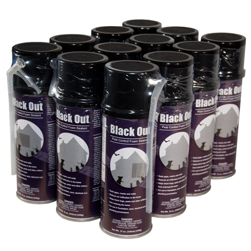 Black Pest Control | Pest Control