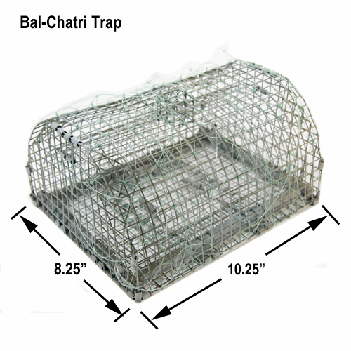 Bal-Chatri Noose Trap - Standard | Wildlife Control Supplies | Product ...