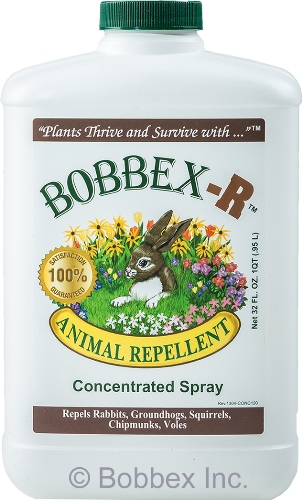 Bobbex-R Quart Concentrate - 32 oz. | Wildlife Control Supplies ...