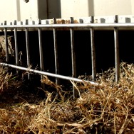 Dig DeFence® Underground Fence - Commercial Grade - 40' | Wildlife ...