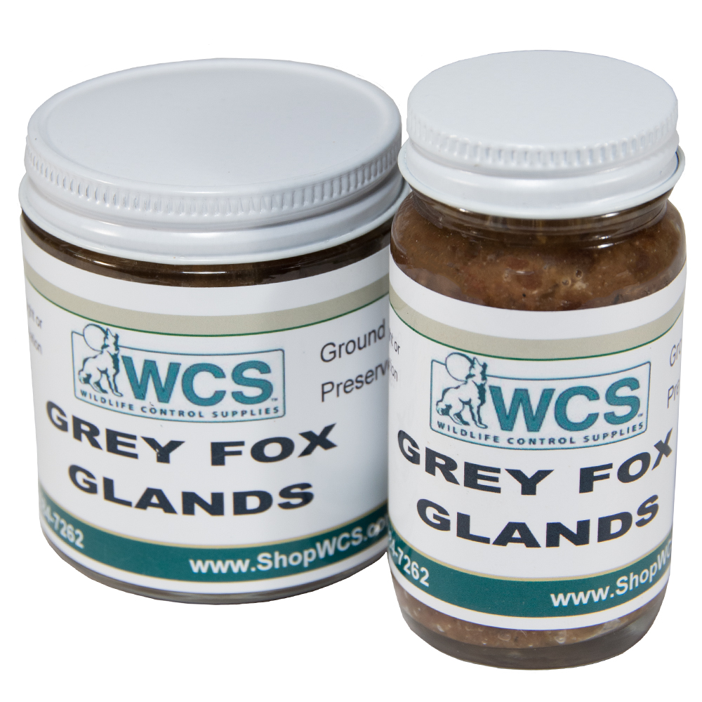 Grey Fox Glands - Ground, Aged & Preserved | Wildlife Control Supplies ...