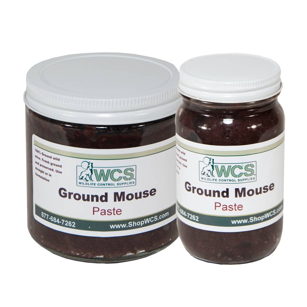 WCS™ Ground Mouse Paste Bait | Wildlife Control Supplies | Product Code ...