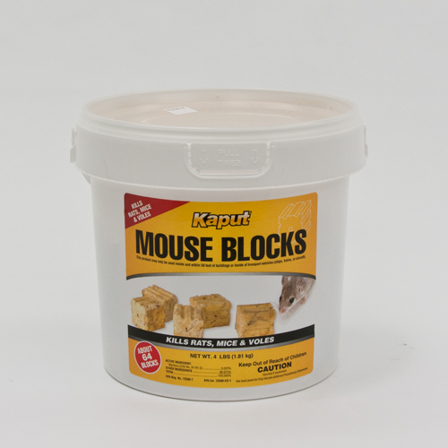 KAPUT Mouse Blocks - 4lb Pail | Wildlife Control Supplies | Product ...