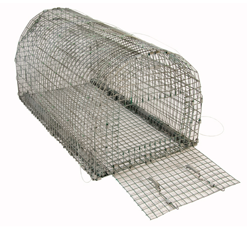 Bal-Chatri Noose Trap - Extra Large | Wildlife Control Supplies ...