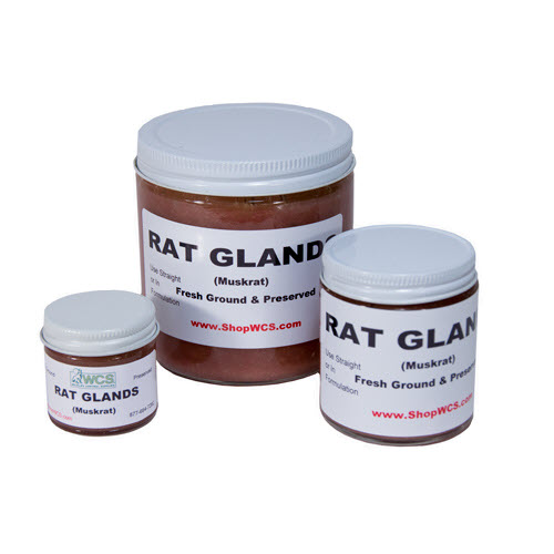 Muskrat Glands - Ground & Preserved | Wildlife Control Supplies ...