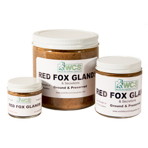 Red Fox Glands - Ground, Aged & Preserved | Wildlife Control Supplies ...
