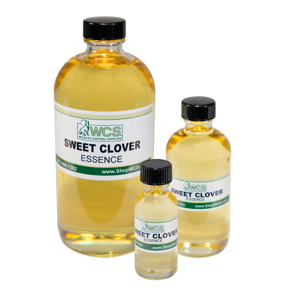 WCS™ Sweet Clover Oil | Wildlife Control Supplies | Product Code: EO0043