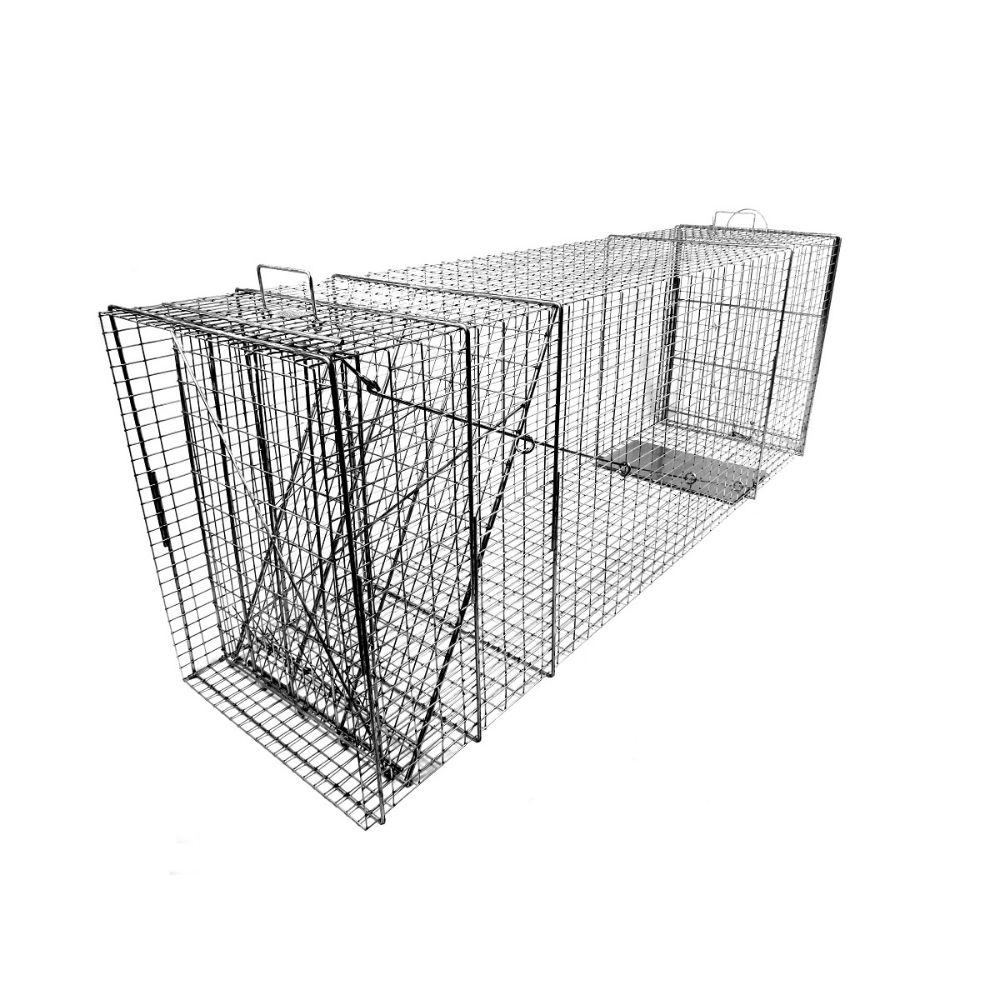 Live Traps For Large Dogs at Donald Edwards blog