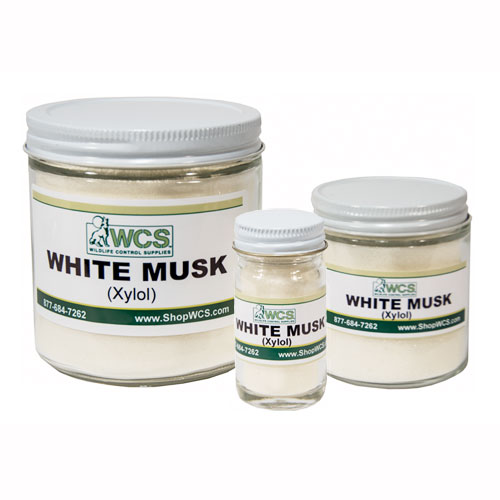 White Musk (Xylol) | Wildlife Control Supplies | Product Code: EO0084